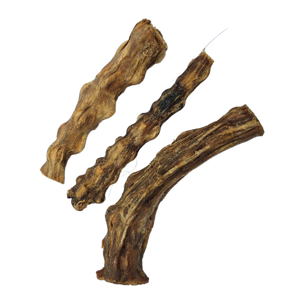 Beef Tails 500g - Natural – Natural Treats Wiltshire