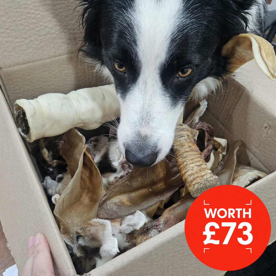 Raw Dog Food Wiltshire | Natural Treats Wiltshire- Raw Feed Specialist